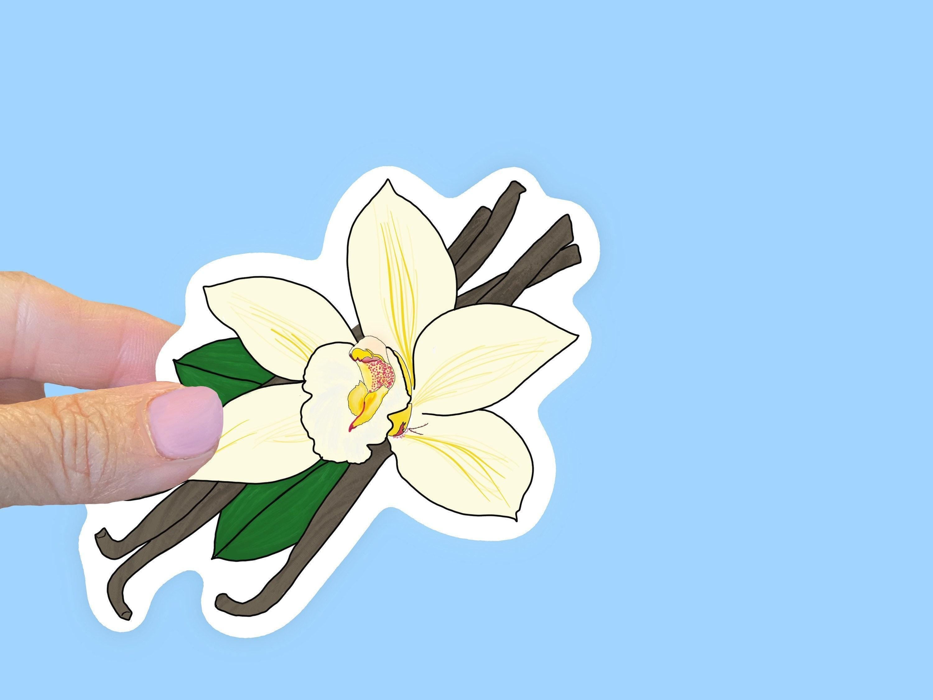 Vanilla Flower - Durable Vinyl Sticker for Water Bottles, Journals, Ca ...